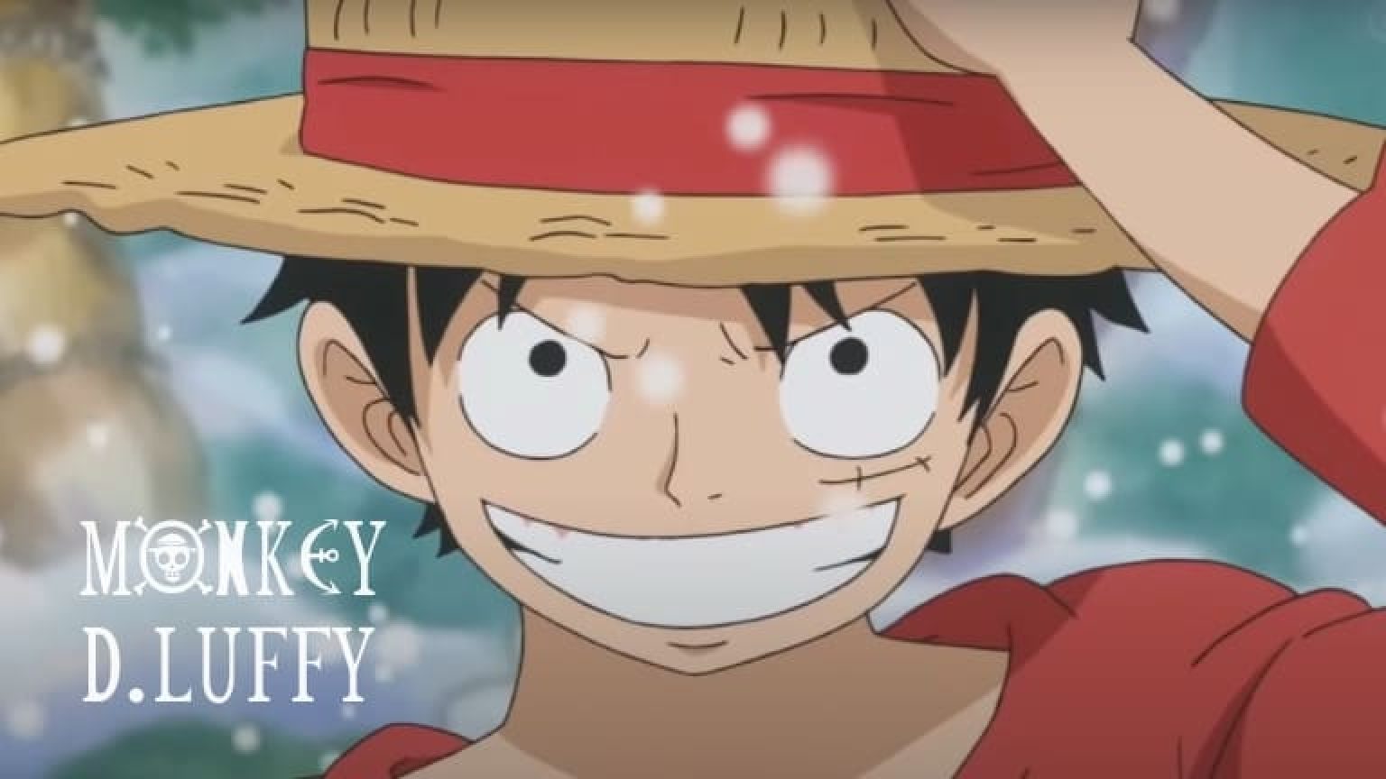 Quel Est Le Personnage Principal De Luffy – QLLGGY